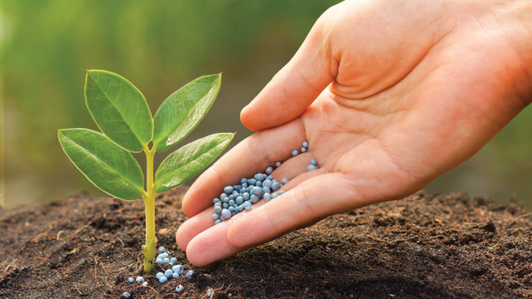 How Biostimulants are Proving Their Worth - AgriBusiness Global