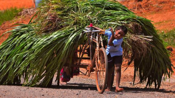 How The Internet Of Things Is Digitizing Agriculture, Speeding Up Rural ...