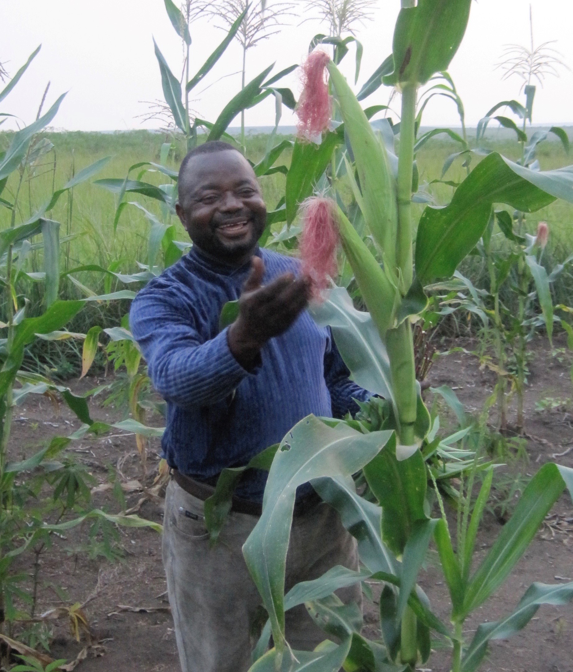 Q&A: Fast-Growing Biostimulant Markets, Distribution - AgriBusiness Global