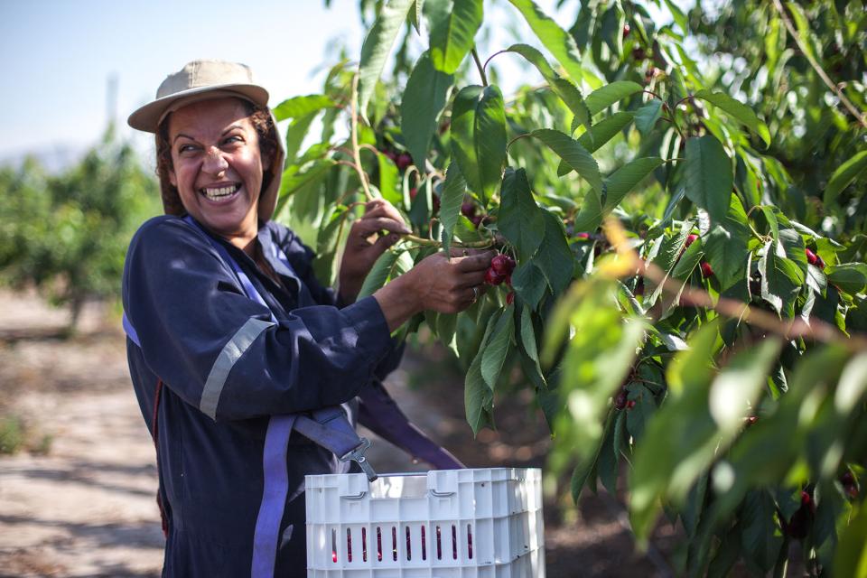 ForwardFarming: Demonstrating Sustainable Agriculture in Chile ...
