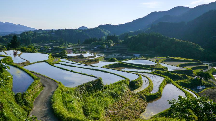 AlgaEnergy Joins the Japan Biostimulant Association - AgriBusiness Global