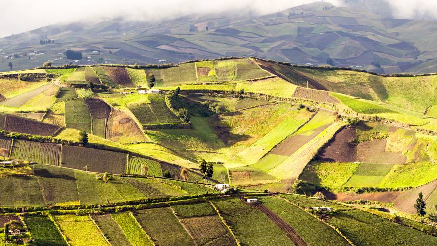 Navigating China’s Regulatory Landscape for Crop Protection in 2025 ...
