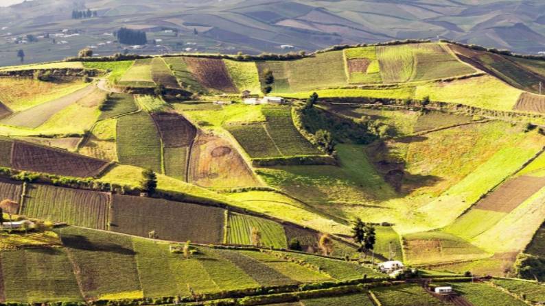 How South American Agriculture Is Adapting to Climate Change ...