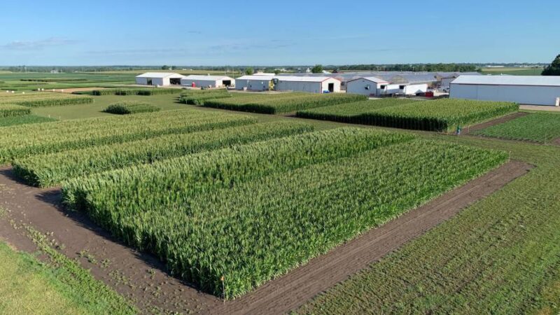 Bayer Features Breakthrough Innovations, Sustainable Solutions at ...