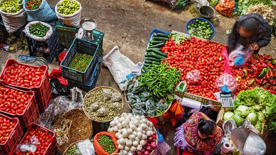 Central America's Crop Protection Market Shows Promising Development ...