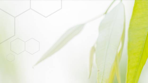 Bio-Gene Forms Agreement with STK to Develop Qcide Botanical-Based ...