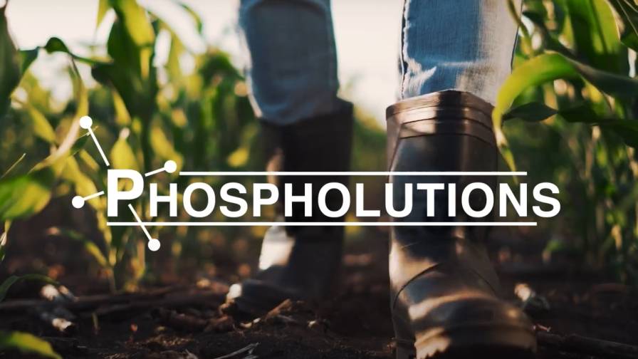 Phospholutions Raises $10.15M to Reduce Phosphorus Carbon Emission by ...