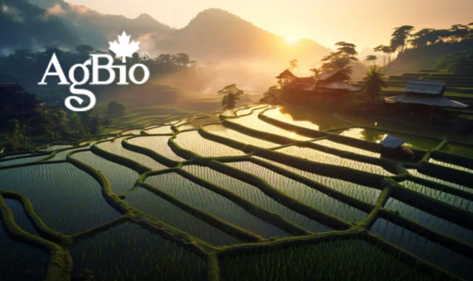 Top Companies to Watch for 2024 - AgriBusiness Global