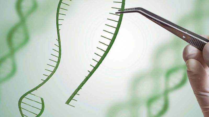 Syngenta Opens Rights to Genome-Editing and Breeding Technologies to ...