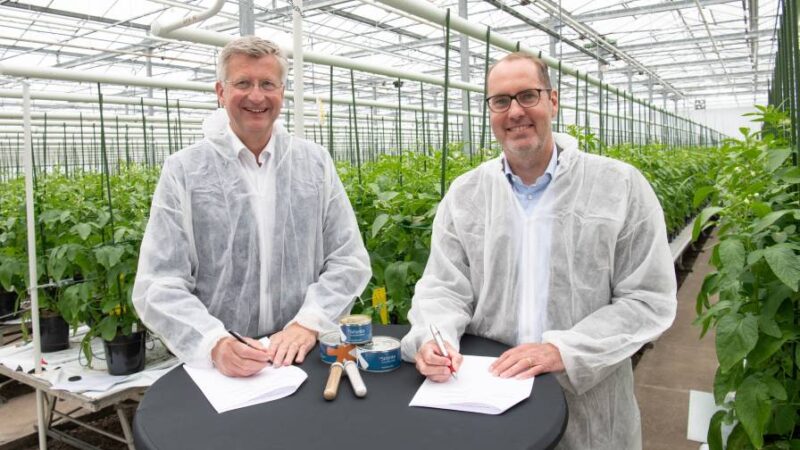 Bayer, Solynta Collaborate to Advance True Potato Seed in Kenya and ...