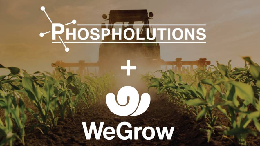Phospholutions Partners With WeGrow AG to Launch RhizoSorb Technology ...