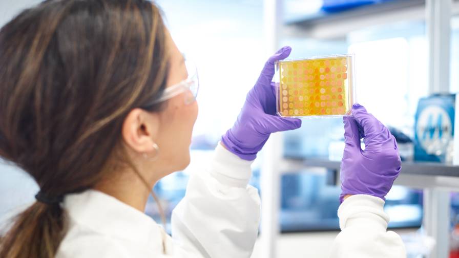 Syngenta Collaborates with Ginkgo Bioworks to Enable Faster Launch of ...