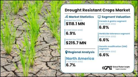 A New Era in Agriculture: The Growing Demand for Drought-Resistant ...