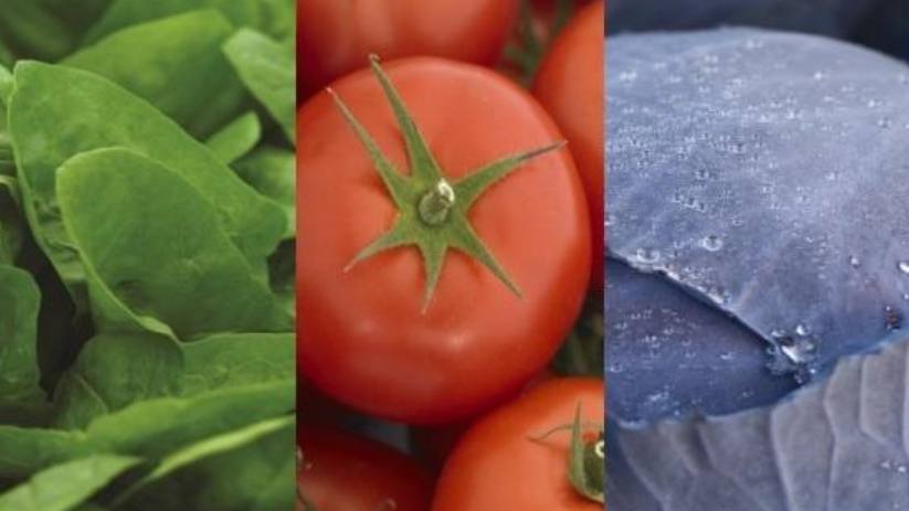 Gowan Acquires Syngenta’s FarMore Technology Vegetable Seed Treatment ...