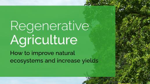 Silvec Biologics Announces New Solution for Citrus Greening Disease ...