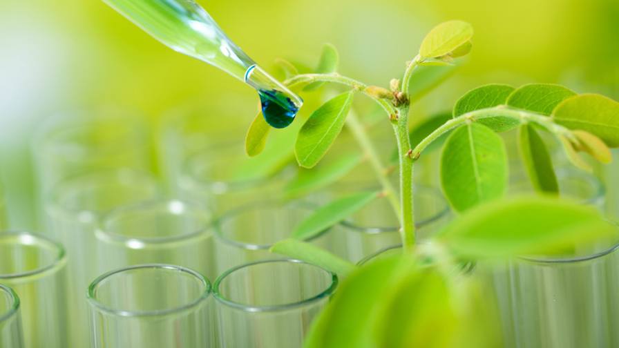 CROs in India and Southeast Asia: Rising Demand, New Gaps, and the Push ...