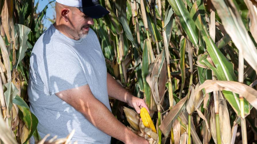BioLumic Expands Light-Activated Seed Trait Platform to South America ...