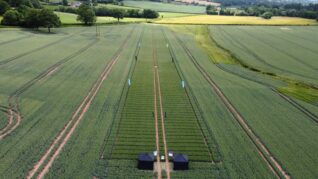 ADAMA and BASF Partner to Co-Develop Breakthrough Gilboa Fungicide ...